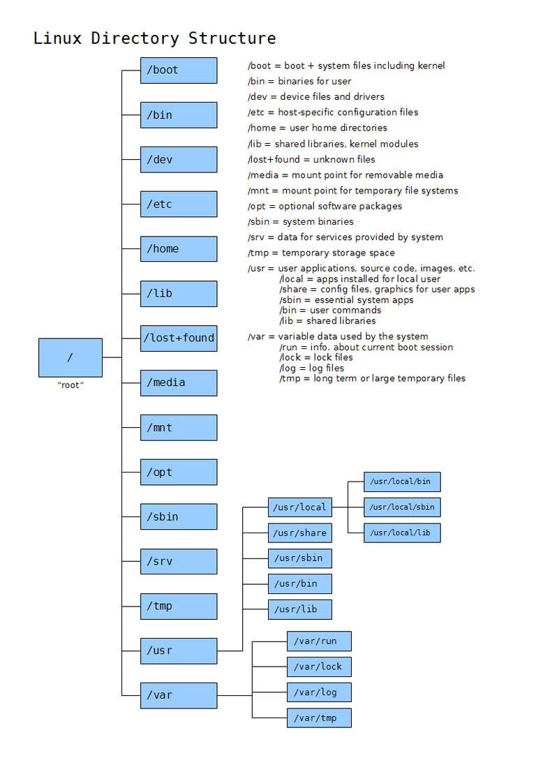 Структура папок в Linux - Сайт одного DevOpsa